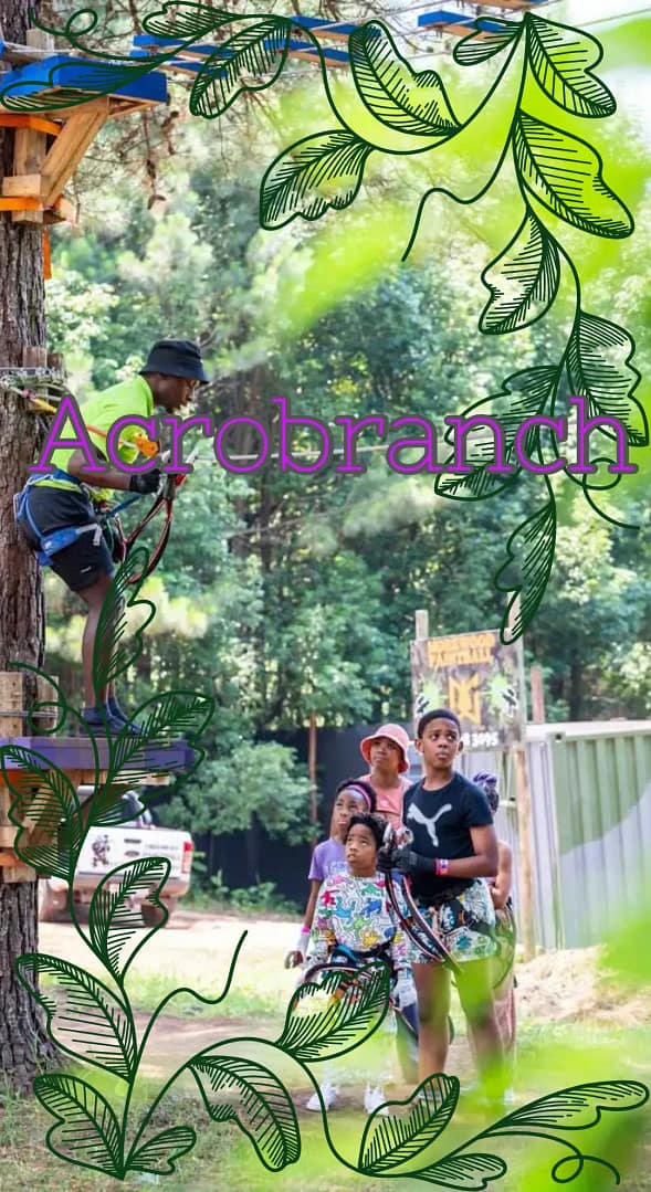 Acrobranch Family Package: Adventure for All Ages - Epic Escapades