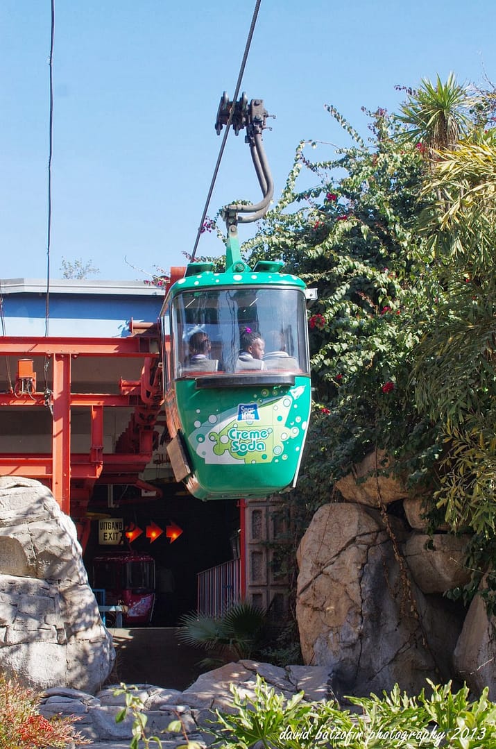Johannesburg Zoo School Excursion Special - Epic Escapades