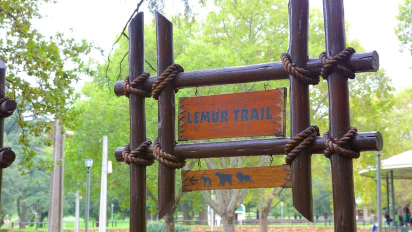 Pretoria Zoo School Excursions - Epic Escapades